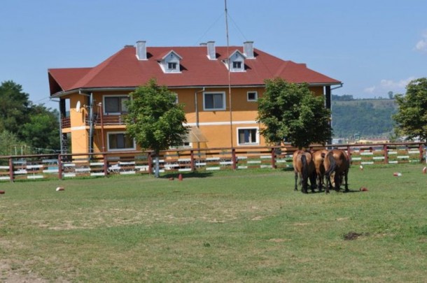 Află ce preţuri sunt la Herghelia Beclean! – TimpOnline.ro