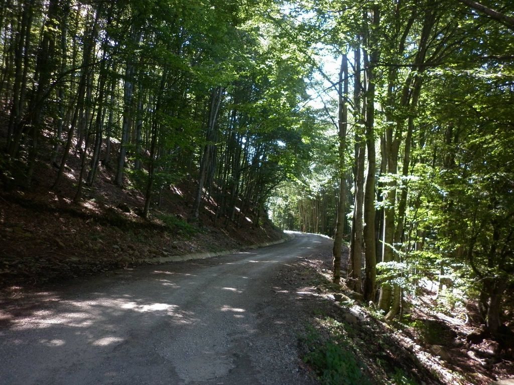 Oamenii din Cusma si ursii de la Dealul Negru, de la buna intelegere ...