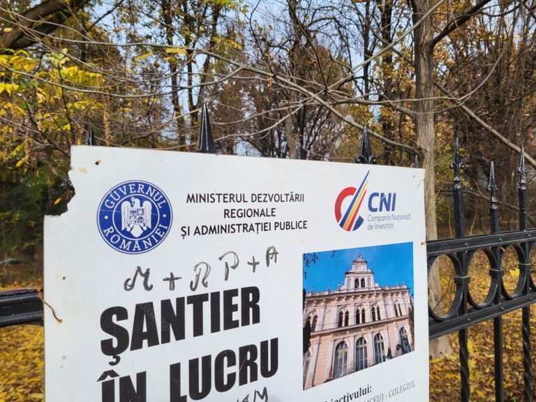 Ce se va întâmpla cu parcul dendrologic de la Colegiul Național ”Liviu ...