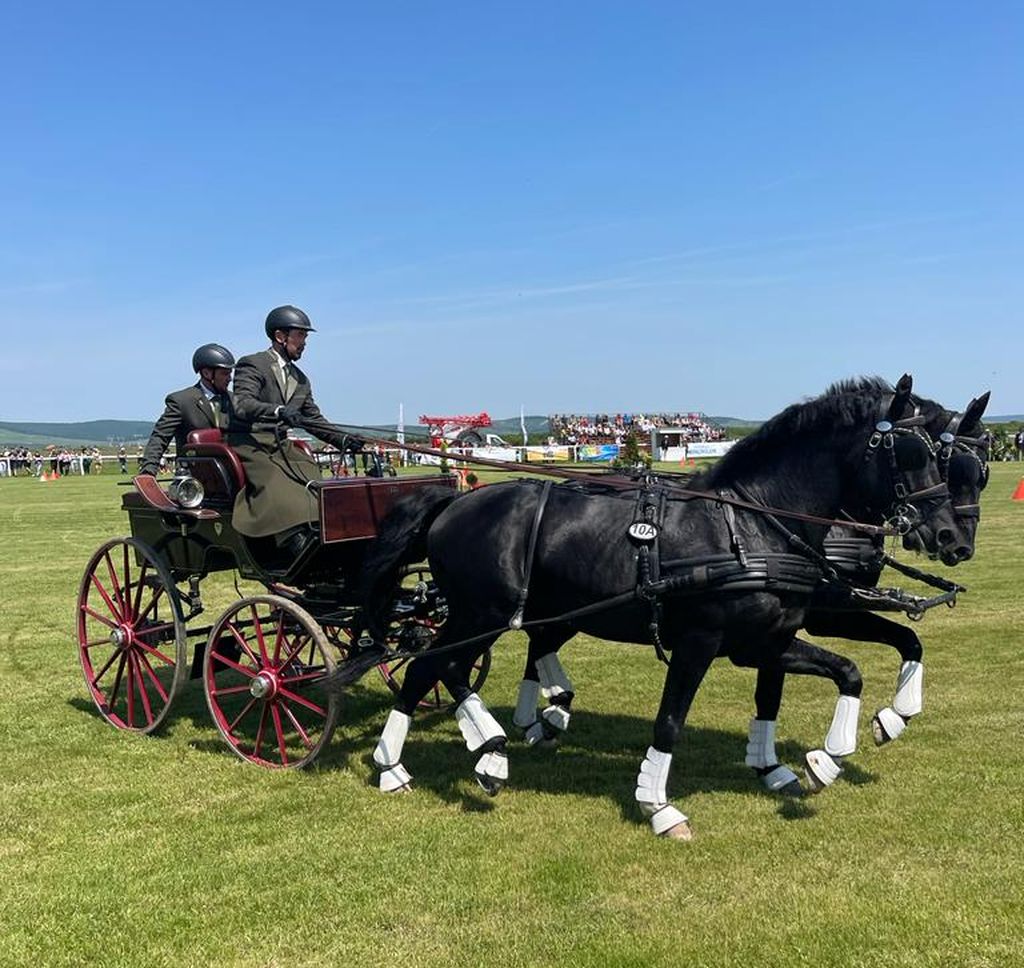 Întrunirea Lipitan International Federation, la Beclean. Spectacol ...
