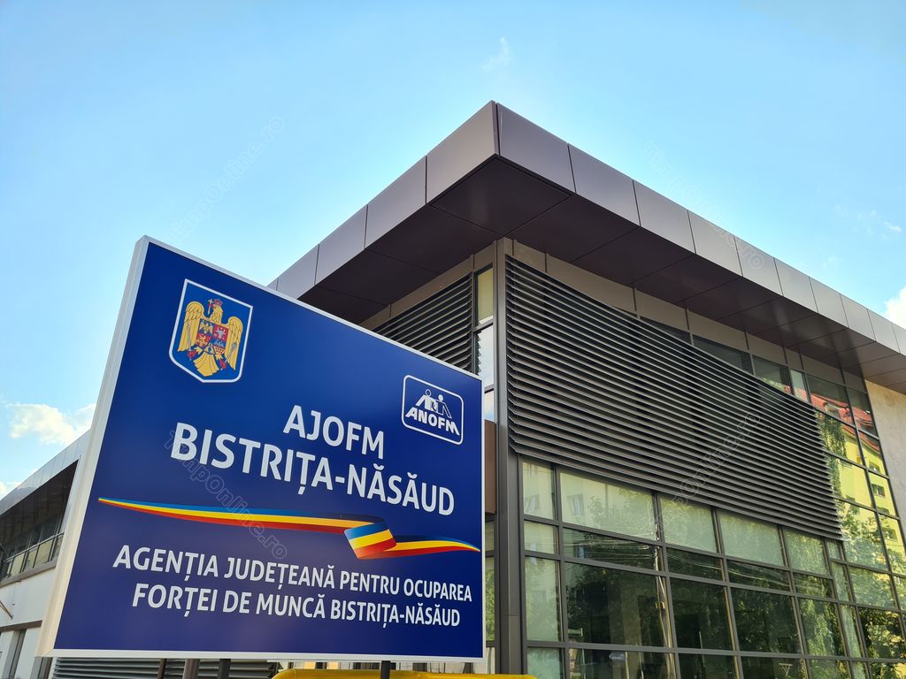 Ce programe de formare profesională organizează AJOFM Bistrița-Năsăud ...