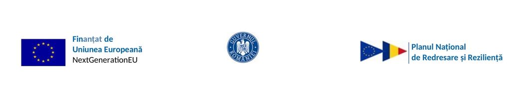 Finalizare proiect Rombat – TimpOnline.ro