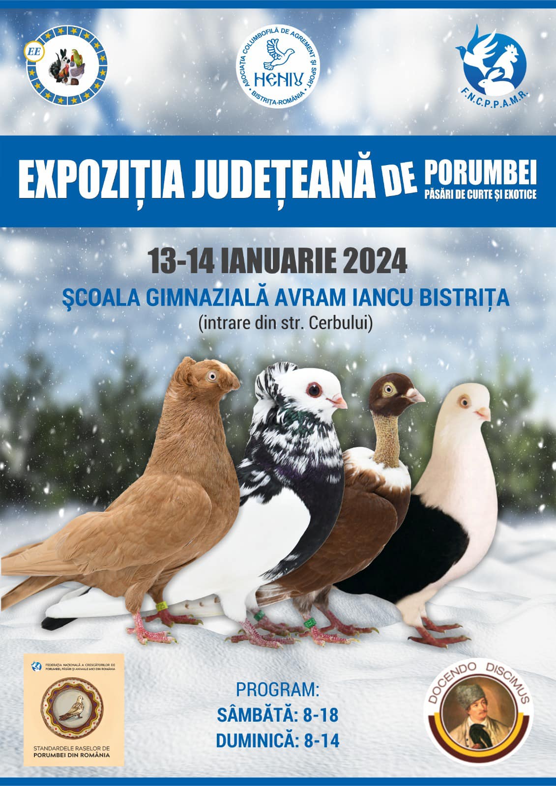 Porumbei, păsări de curte și exotice, într-o expoziție de început de an ...