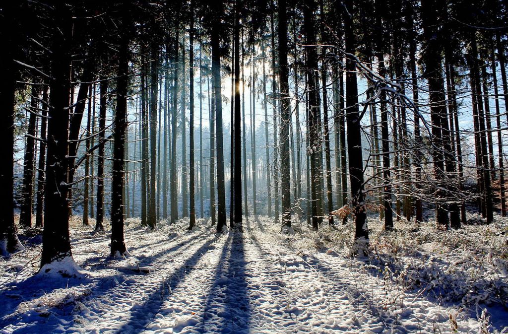 Cu ce se alege o primărie de pe urma faptului că are peste 10.000 de ha ...