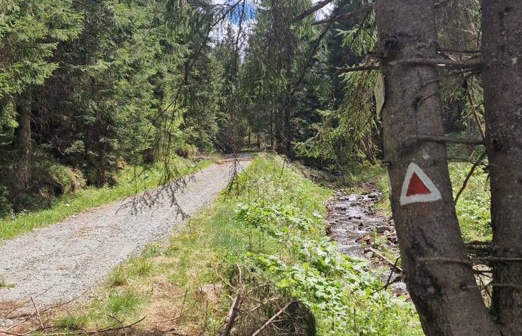 Traseu turistic de 11 km cu plecare din Colibița, marcat de Salvamont ...