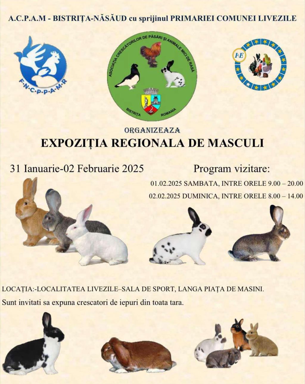 Expoziție regională de iepuri de rasă la Livezile, în acest sfârșit de ...