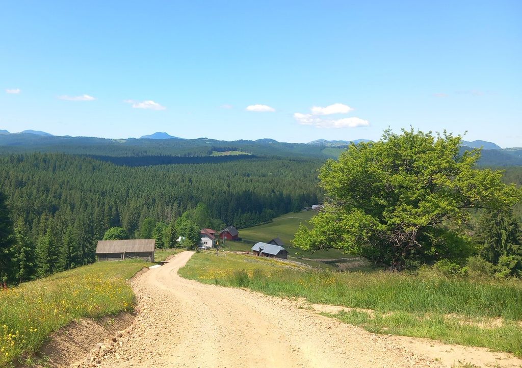Ce experiență a trăit un norvegian, drumeț pe Via Transilvanica, la ...